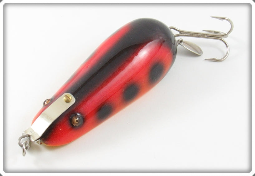 Musky Dan Orange & Black Spotted Musky Wonder Spoon Type Lure | Tough Lures